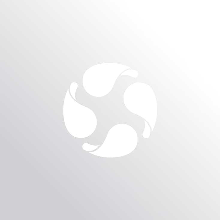 The Agency - Tegan Digital