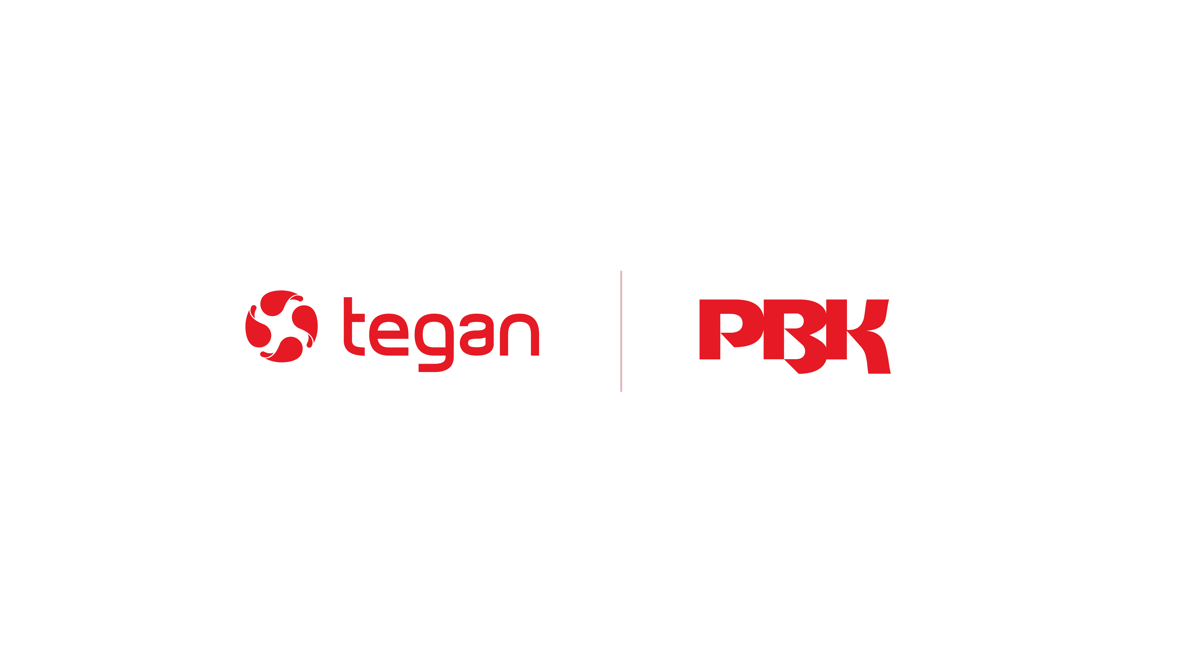 Tegan Kicks Off Partnership with Award-Winning Design Firm - Tegan Digital